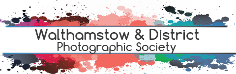 wdps logo new 6 - WDPS